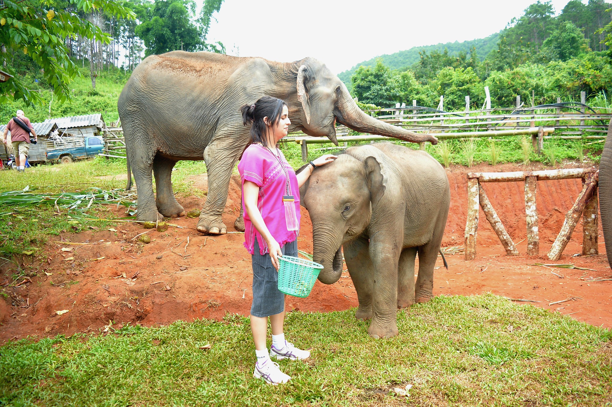 All year photos - Chiangmai Elephant Land Chiangmai Elephant Land