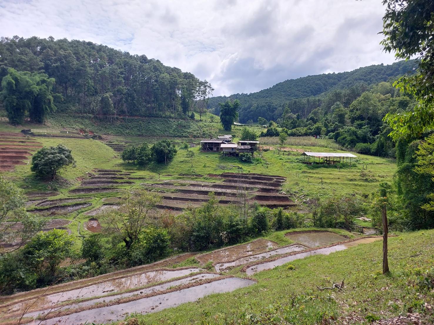 All year photos - Chiangmai Elephant Land Chiangmai Elephant Land