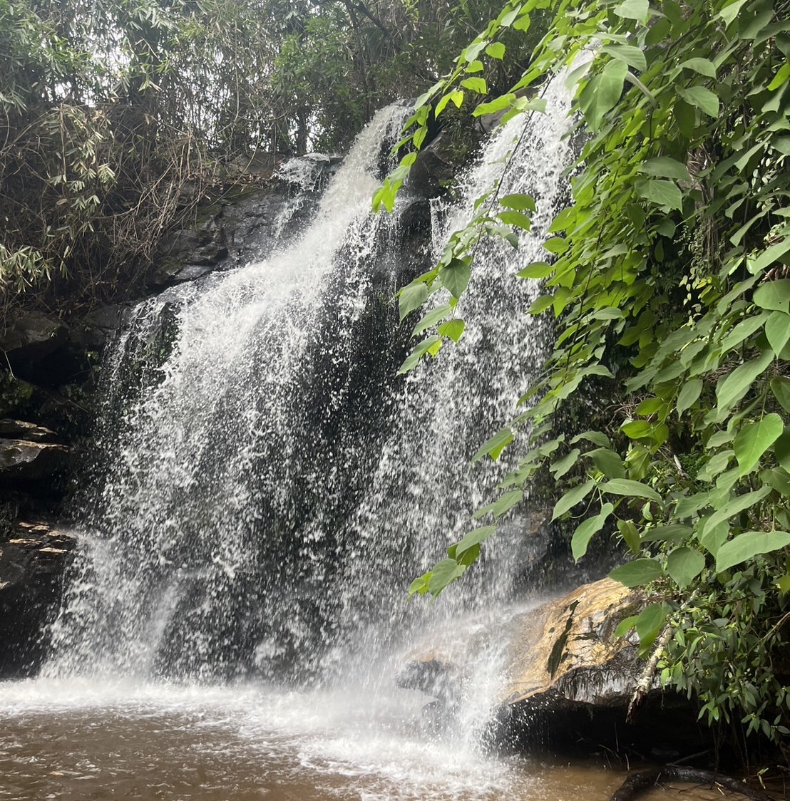 Half Day Visit to Elephant Land - Chiangmai Elephant Land Chiangmai ...